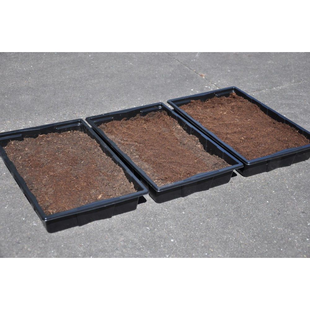 Royal Well zaaibakjes 'seed tray' (set van 12 stuks) - Tuinkasdirect.nl