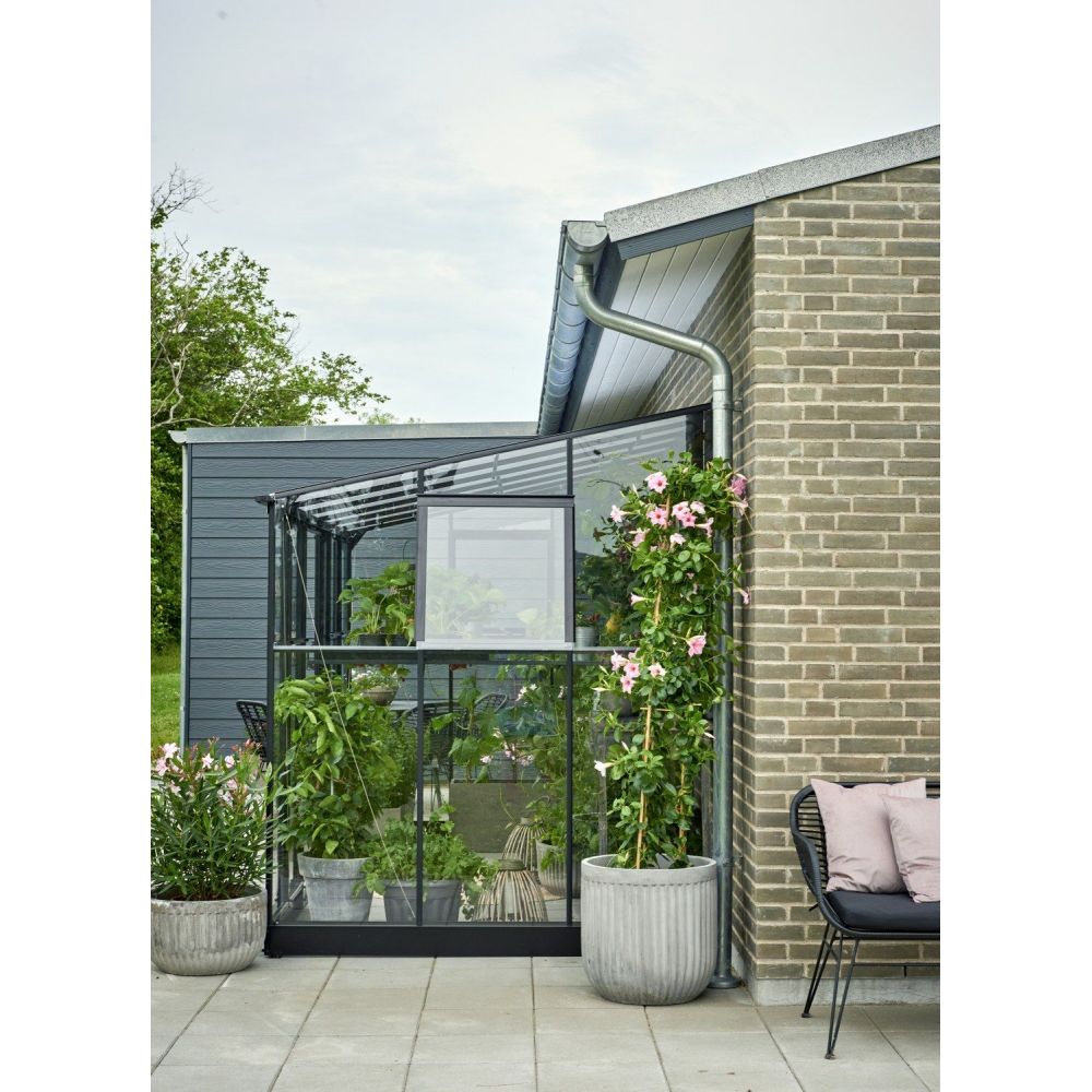 Halls muurkas Qube LT612 - zwart gecoat - Tuinkasdirect.nl