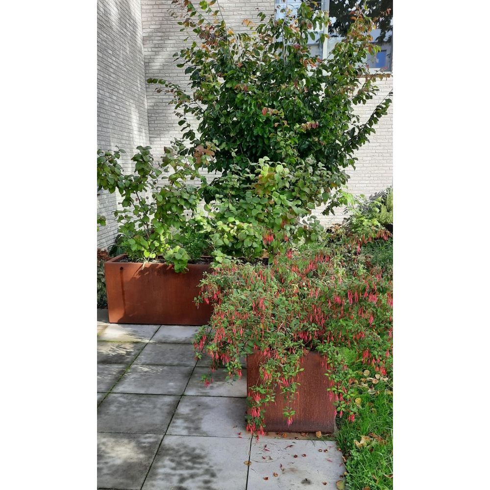 Geroba rechthoekige plantenbak Artesa B22 1000x400x400mm - Cortenstaal ...